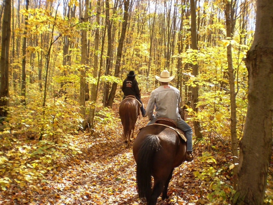 10 BEST Places For Smoky Mountain Horseback Riding