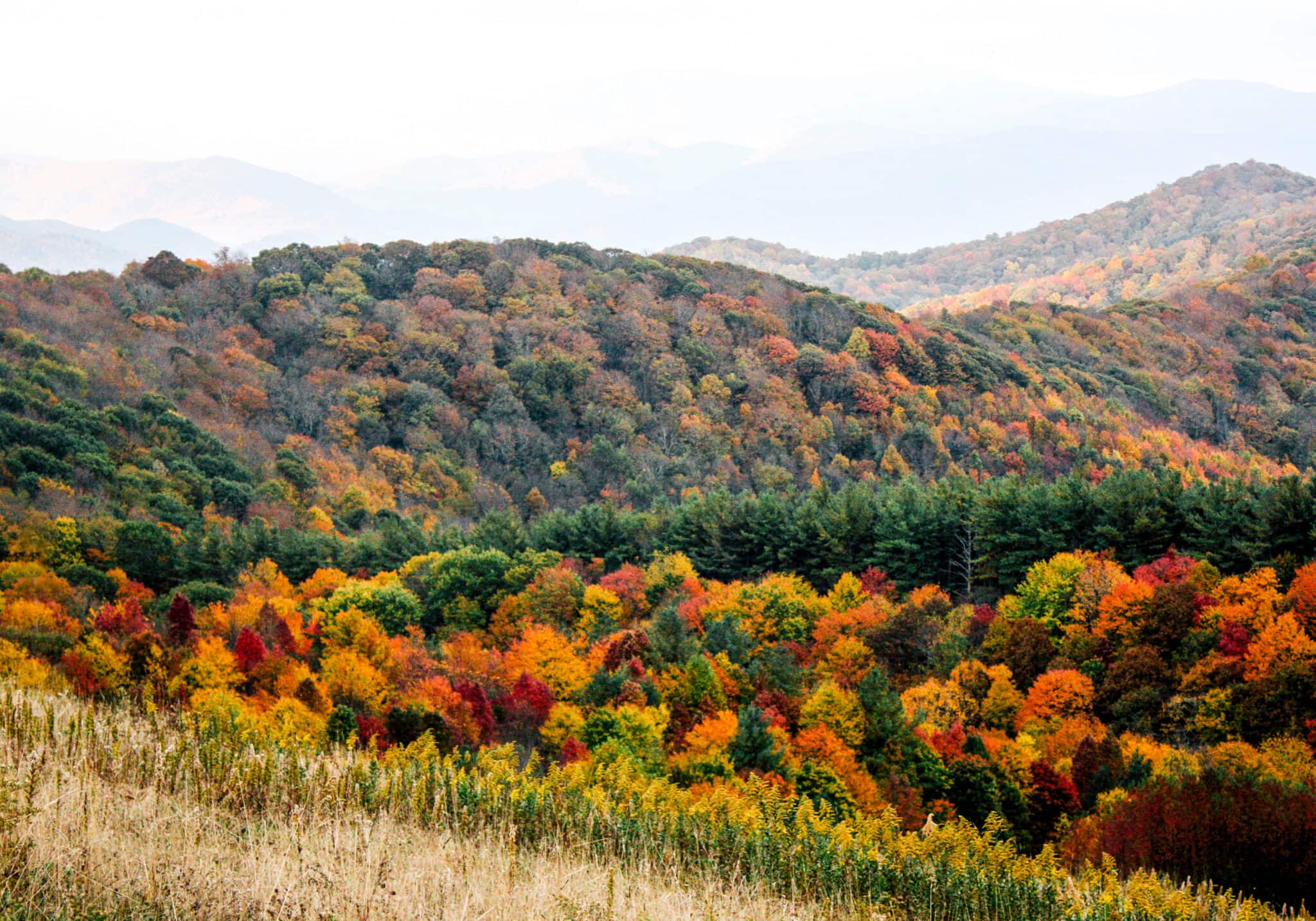 2026 ULTIMATE Smoky Mountain Fall Foliage Map + Guide