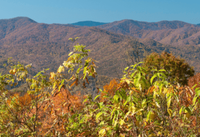 Smoky Mountain Fall Colors Guide + 5 Tips
