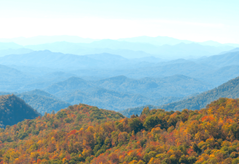 Smoky Mountain Fall Colors Guide + 5 Tips