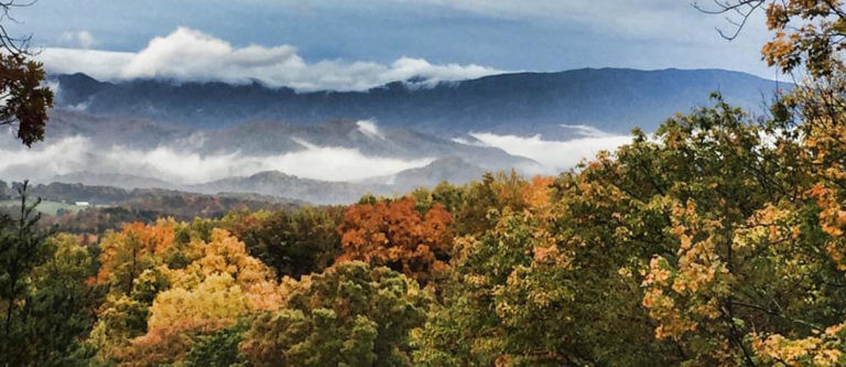 2026 ULTIMATE Smoky Mountain Fall Foliage Map + Guide