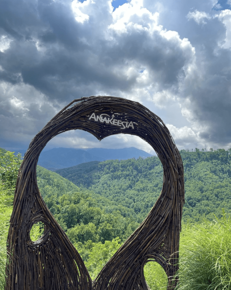 A 50+ Smoky Mountain Words & Appalachian English Dictionary