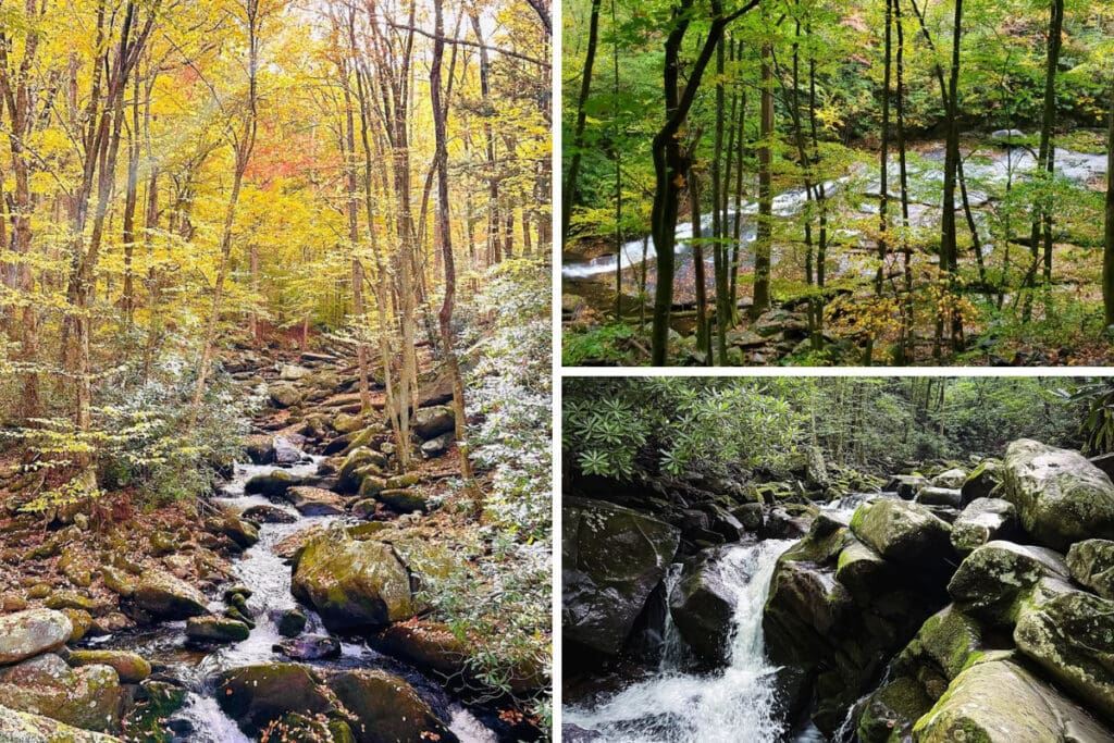 2026 ULTIMATE Smoky Mountain Fall Foliage Map + Guide