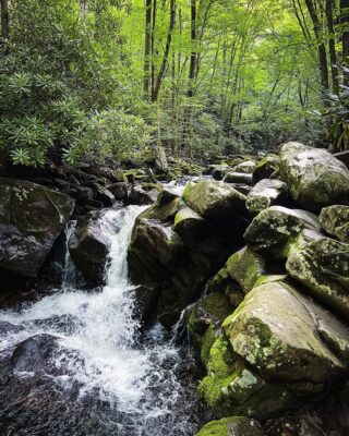 A Local's Guide To The Smoky Mountains Middle Prong Trail