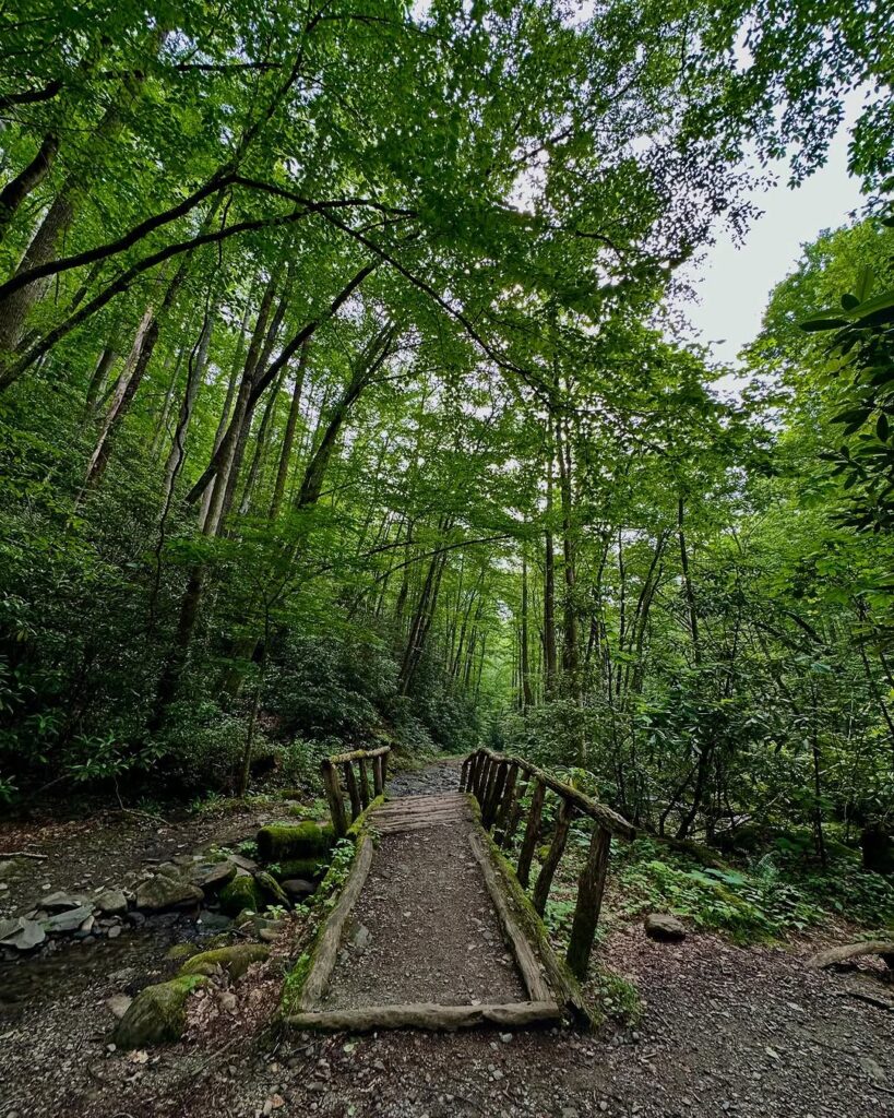 A Local's Guide To The Smoky Mountains Middle Prong Trail
