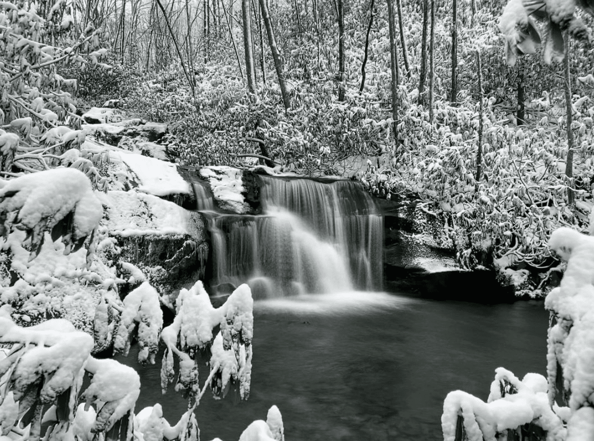 A Local's Guide To The Smoky Mountains Middle Prong Trail