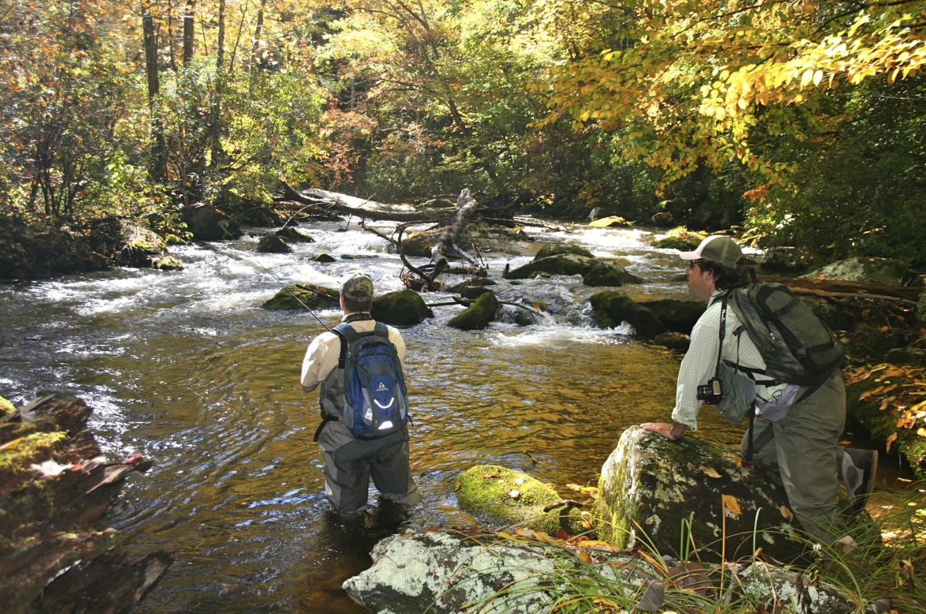 47 BEST Things To Do In The Smoky Mountains