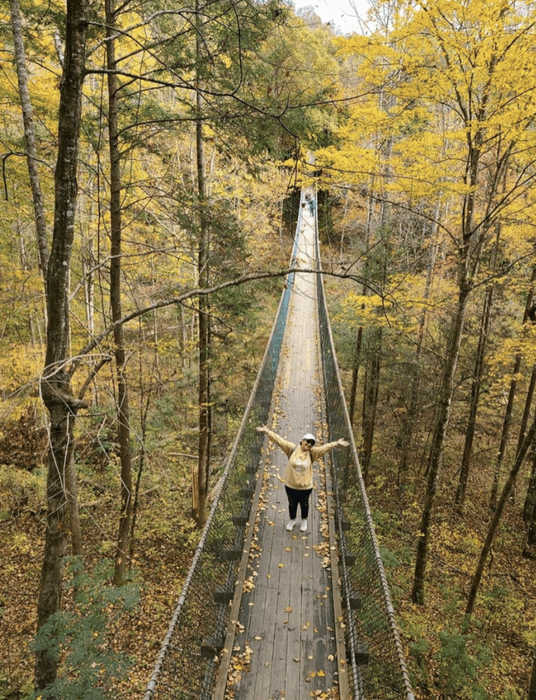31 Best Smoky Mountain Tours For Unforgettable Experiences