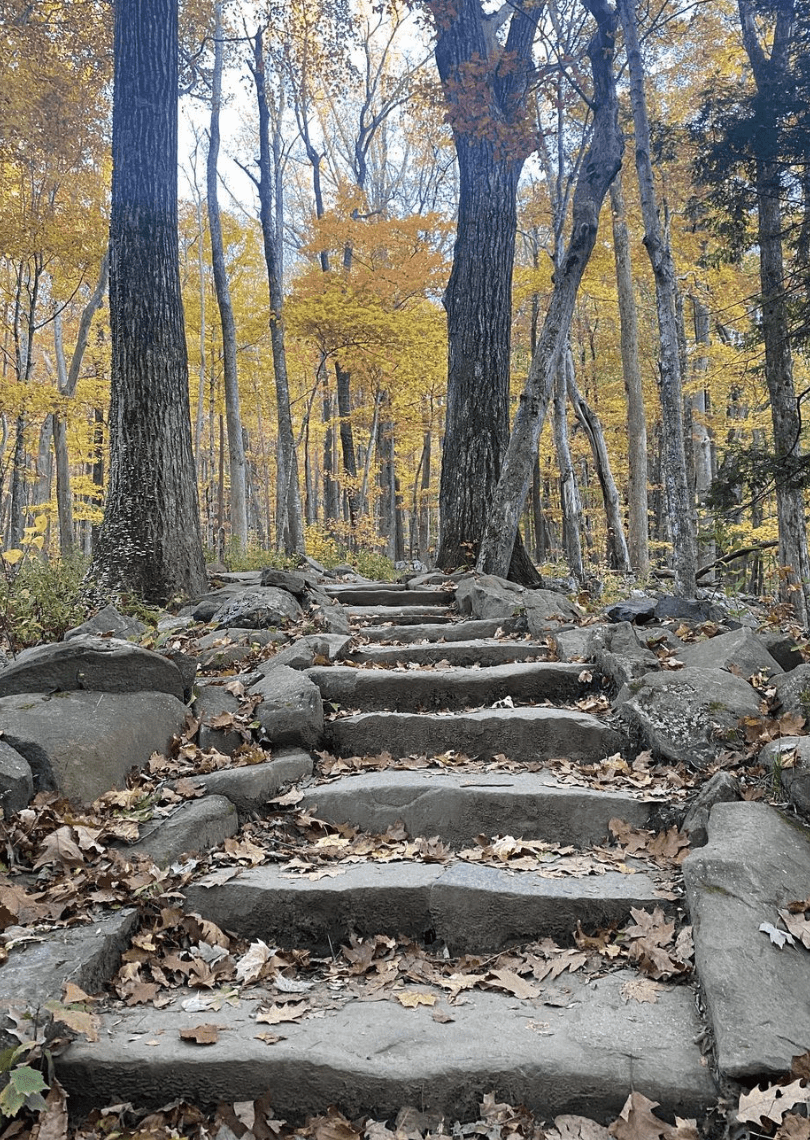 12 BEST Smoky Mountain Hiking Trails For Fall Foliage Views
