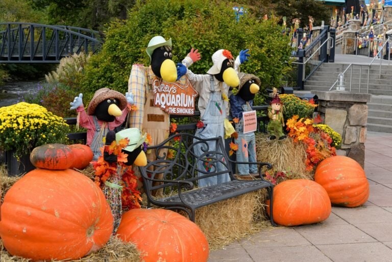 11 BEST Things To Do In Gatlinburg In The Fall [NEW 2026]