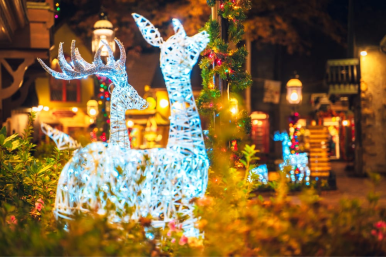 10 Reasons To Visit The Smoky Mountains In December