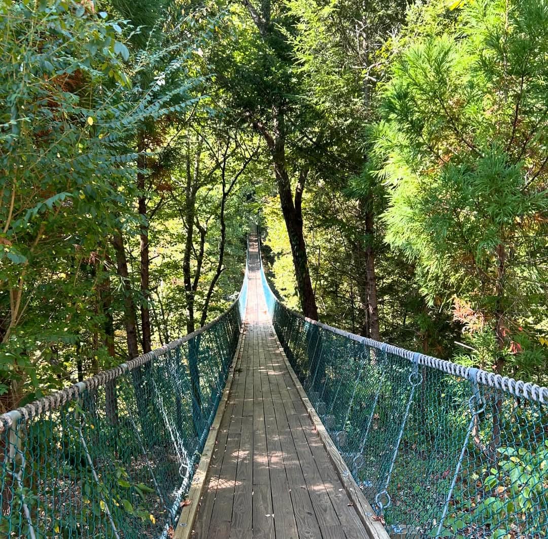 31 Best Smoky Mountain Tours For Unforgettable Experiences