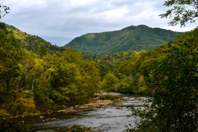 The Great Smoky Mountain Railroad: An Unforgettable Journey