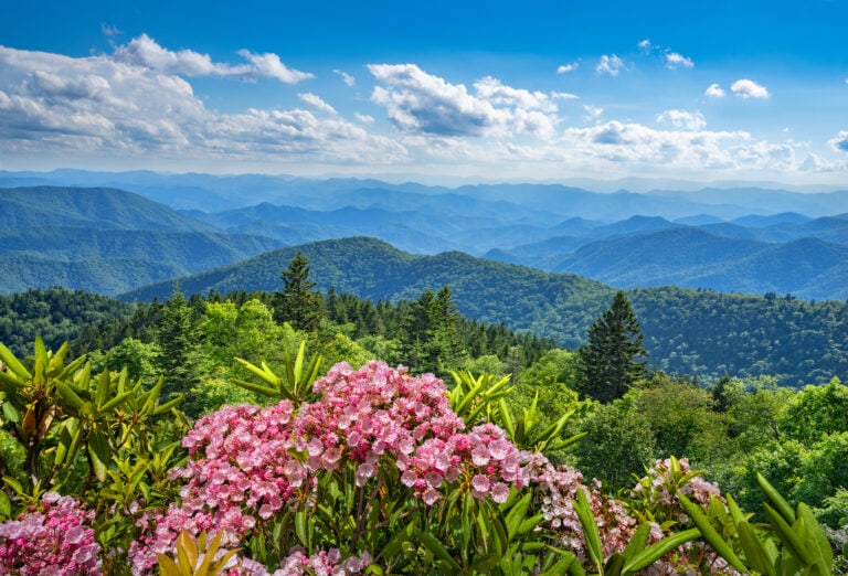 A 50+ Smoky Mountain Words & Appalachian English Dictionary