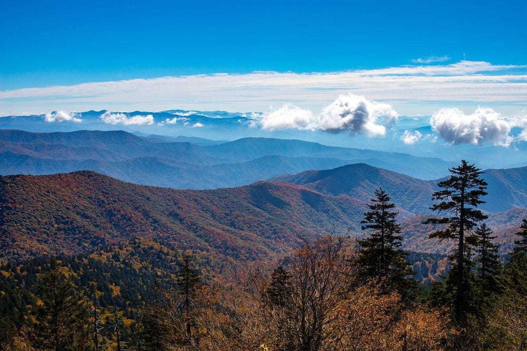 Discover Kuwohi: A Window To The Wonders Of The Great Smoky Mountains