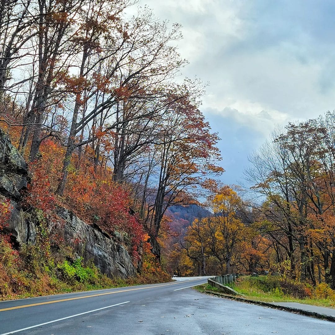Discover The Must-Stop Points Of Interest On Newfound Gap Road Trip
