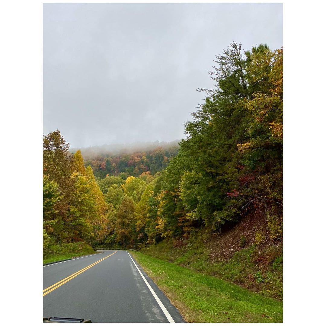 Tame The Smoky's Tail Of The Dragon: Guide To Driving US-129