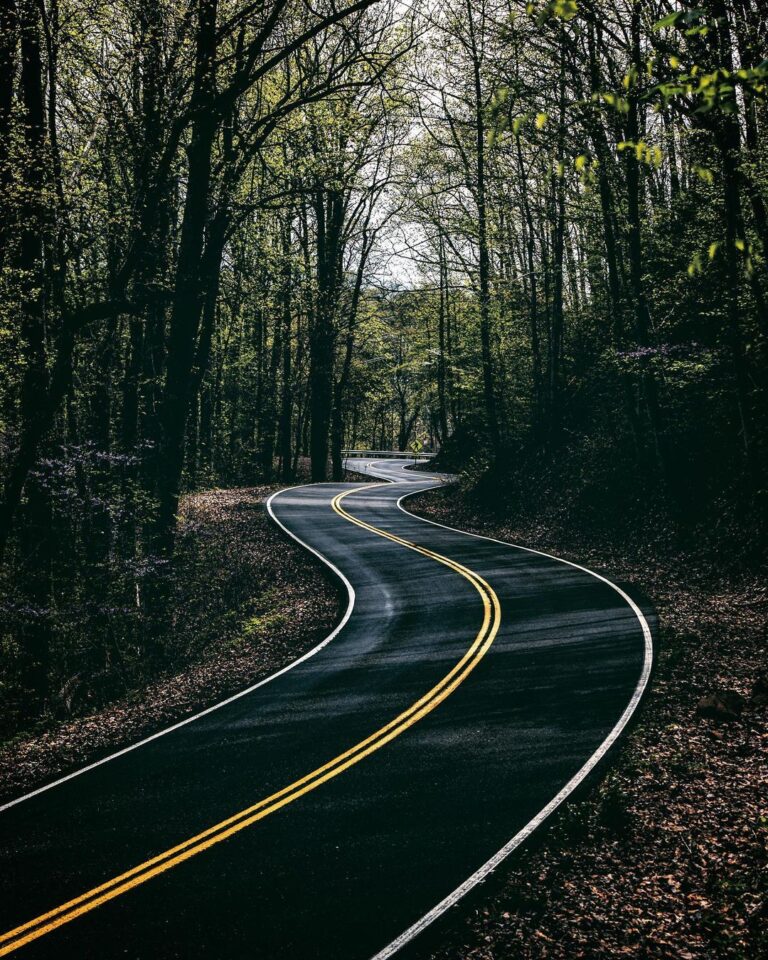 Tame The Smoky's Tail Of The Dragon: Guide To Driving US-129