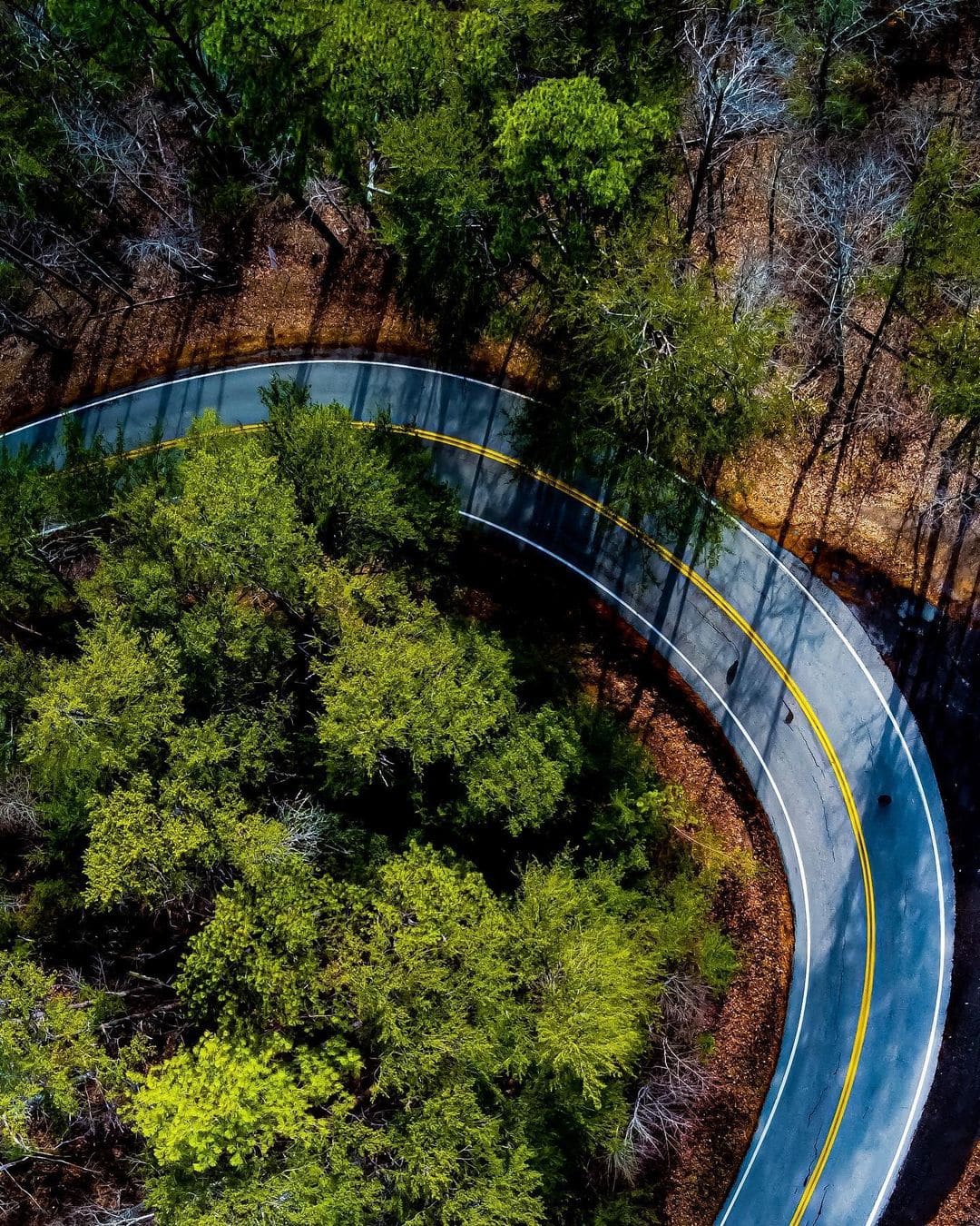 Tame The Smoky's Tail Of The Dragon: Guide To Driving US-129