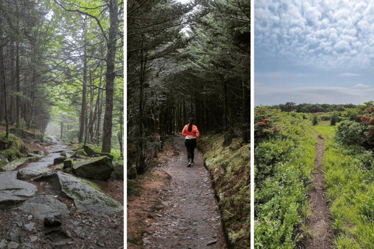 A 50+ Smoky Mountain Words & Appalachian English Dictionary