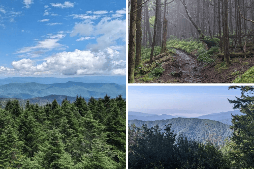 A 50+ Smoky Mountain Words & Appalachian English Dictionary