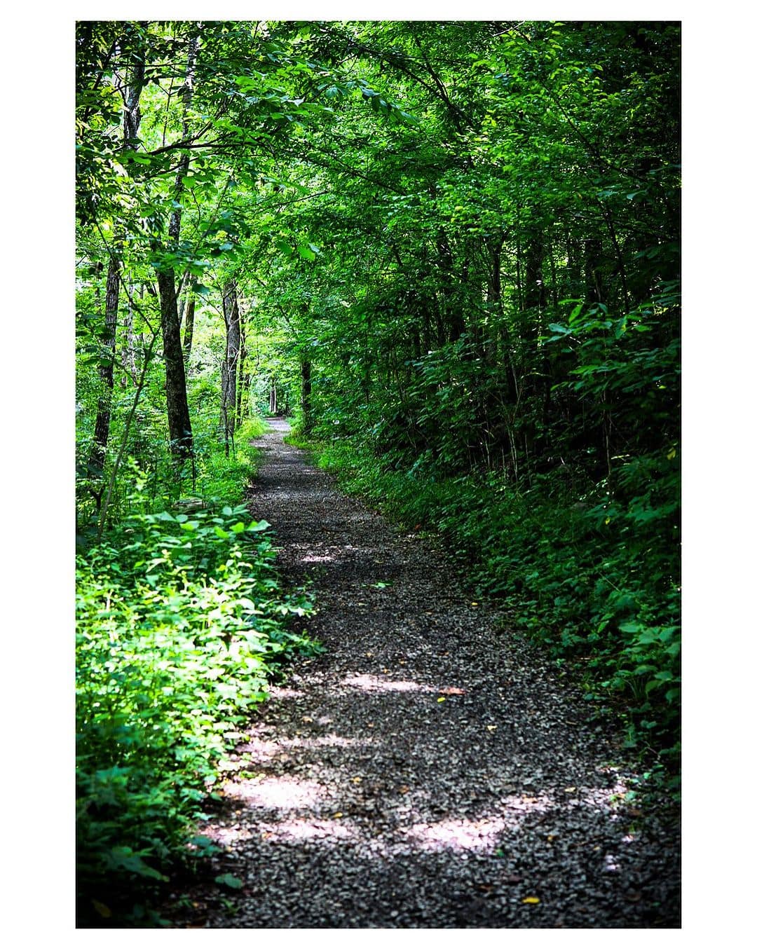 ULTIMATE Guide To Things To Do In Townsend TN | Attractions ...