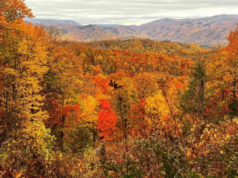 Not Your Typical Scenic Drive: Discovering The Roaring Fork Motor ...