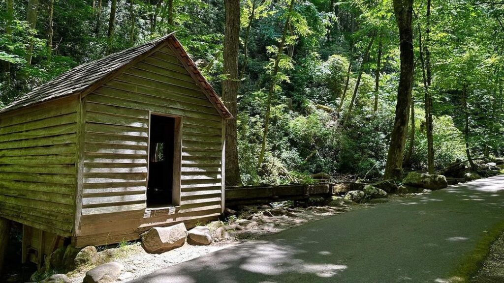 Not Your Typical Scenic Drive: Discovering The Roaring Fork Motor ...