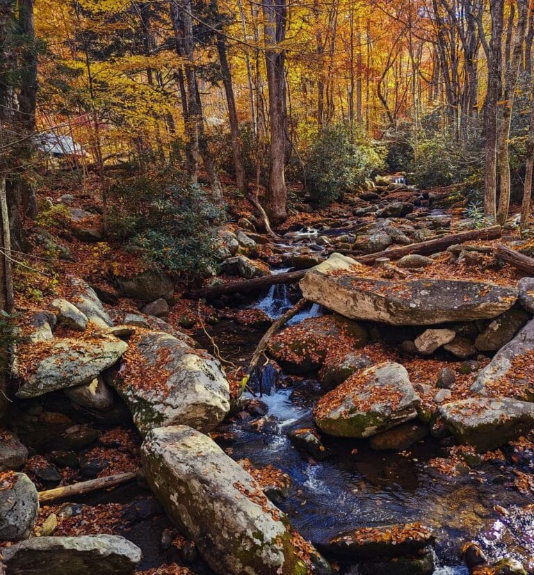 Not Your Typical Scenic Drive: Discovering The Roaring Fork Motor ...