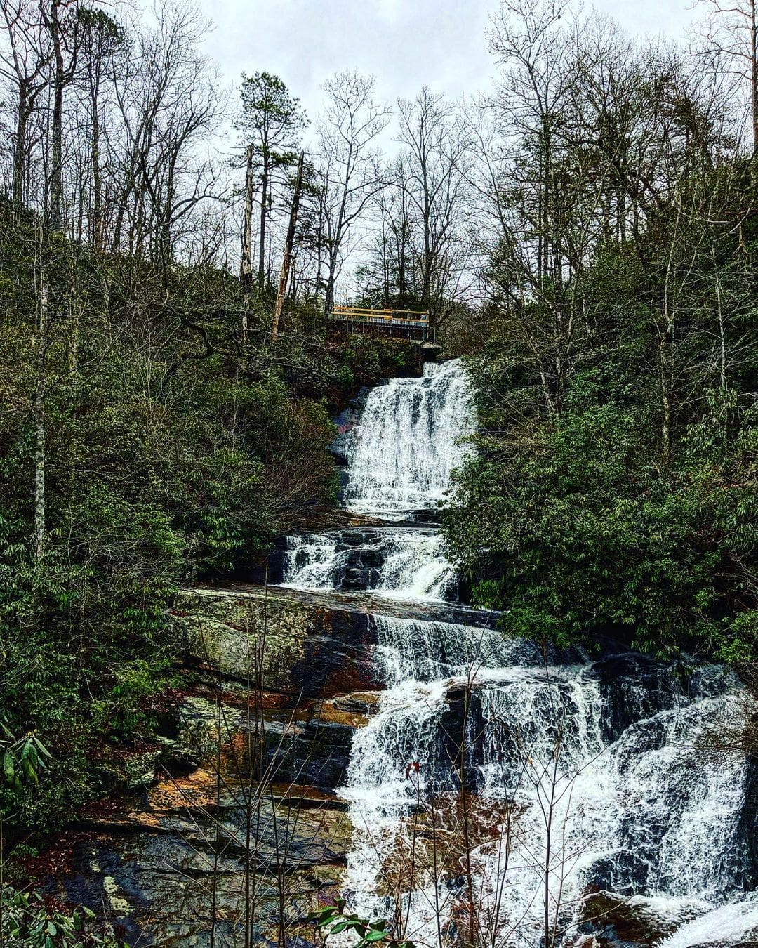 Discover Western North Carolina’s Ultimate “No-Hike” Waterfall Road Trip