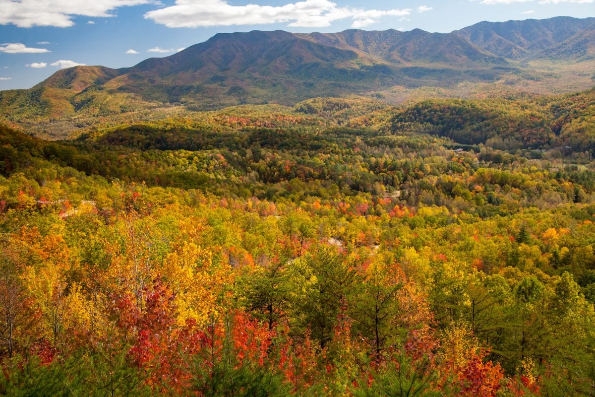 The Ultimate Road Trip: Driving The Foothills Parkway