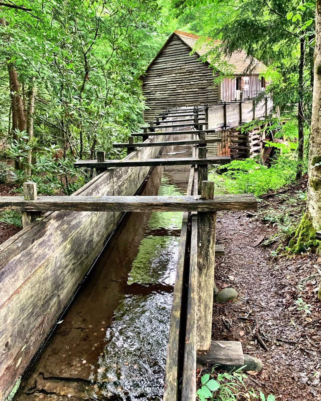 Grinding Through History: Cable Grist Mill Is A Smoky Mountains Must-See
