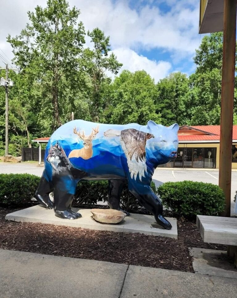 We're Going On A Bear Hunt: The Cherokee Bear Project