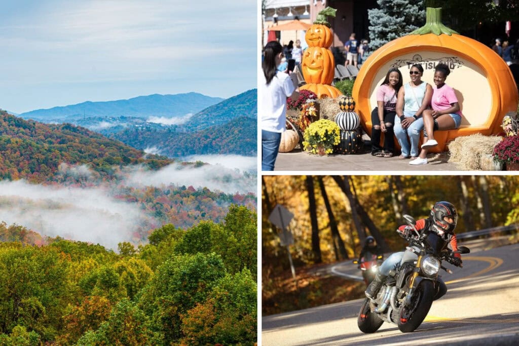 A 50+ Smoky Mountain Words & Appalachian English Dictionary